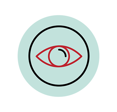 Board Member | Board Observer | Hoola Hoop